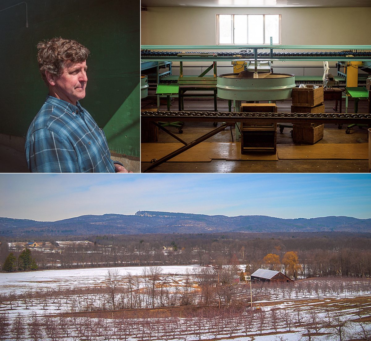 Dressel Farms and Five Acre Farms