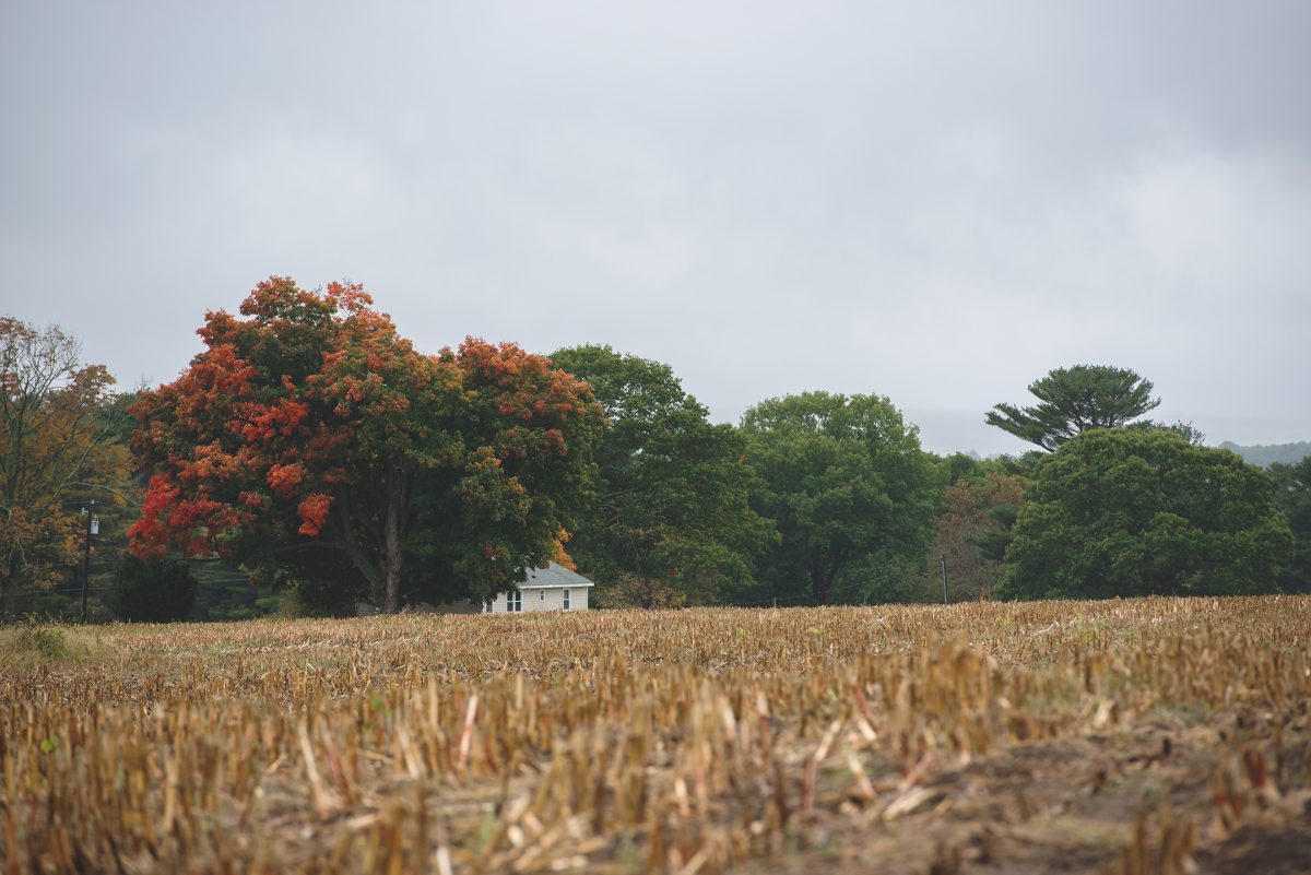 Five Acre Farms - Farm LIfe - Landscapes